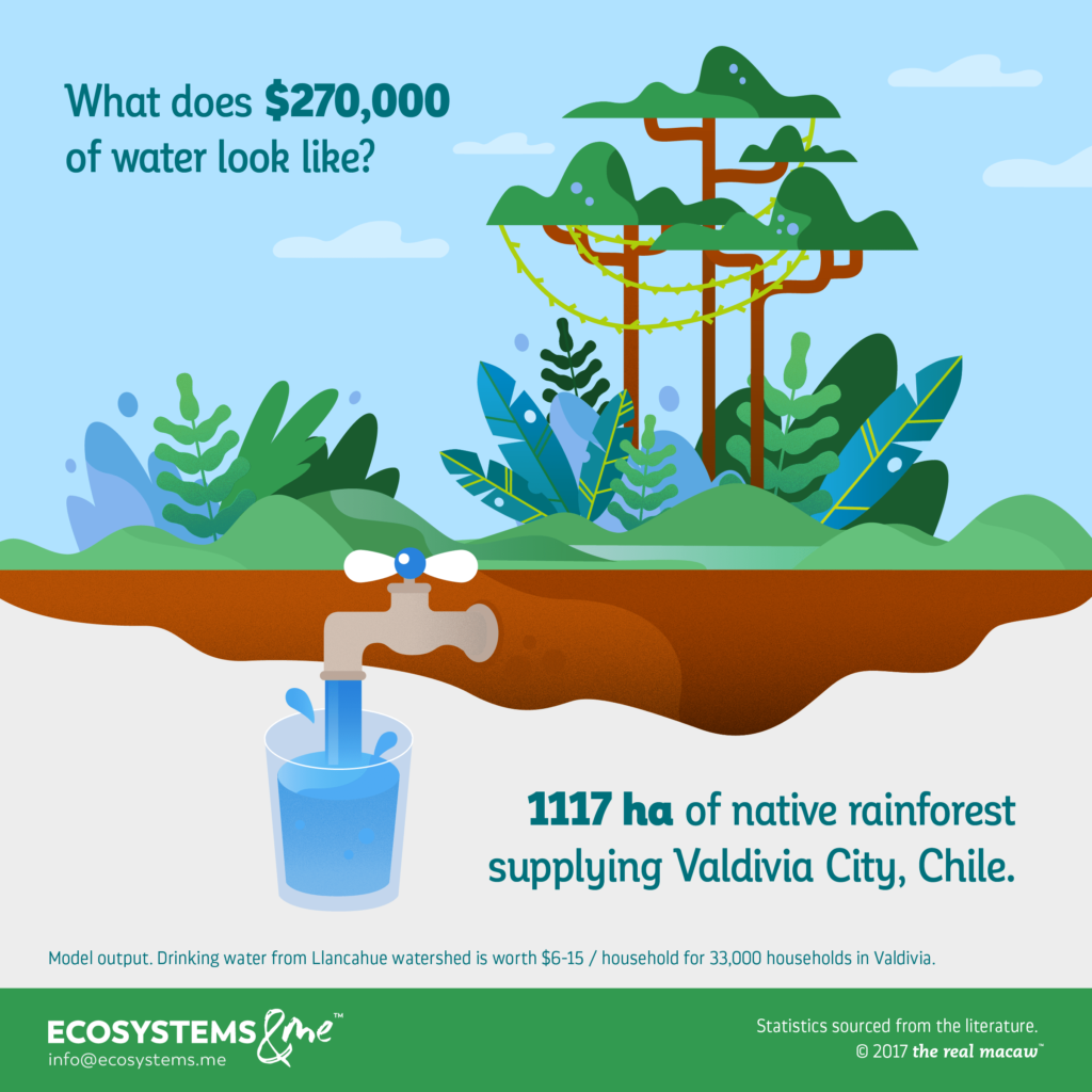 Valdivia, Chile: What Does $270K of Water Look Like? – Ecosystems & Me